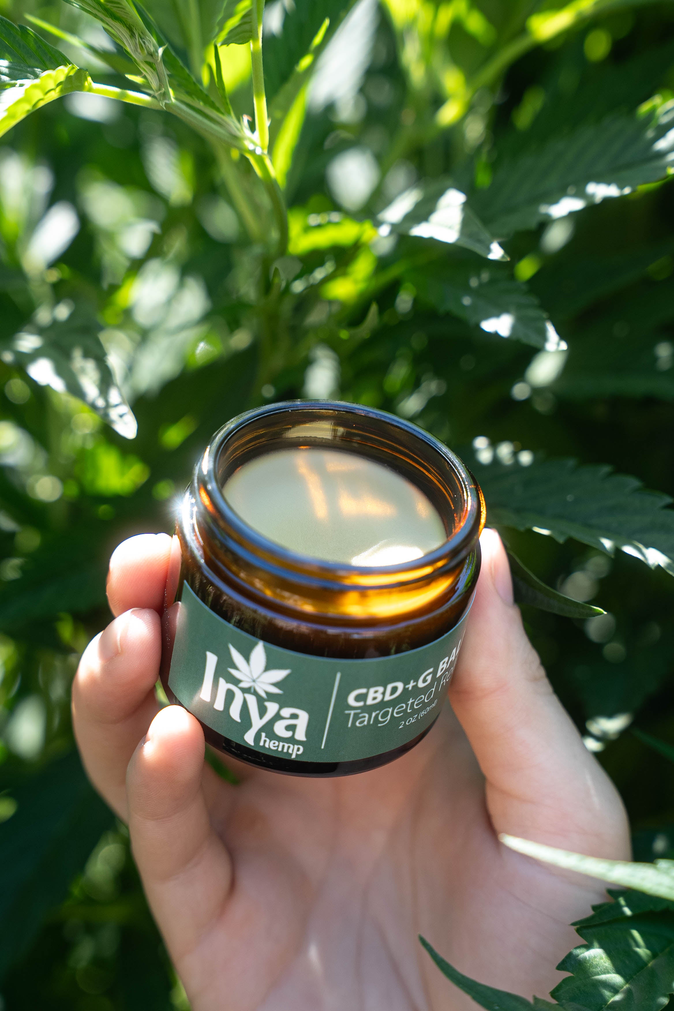 WHAT IS CBG? CANNABIGEROL THE STEM CELL OF CANNABINOIDS – InyaHemp